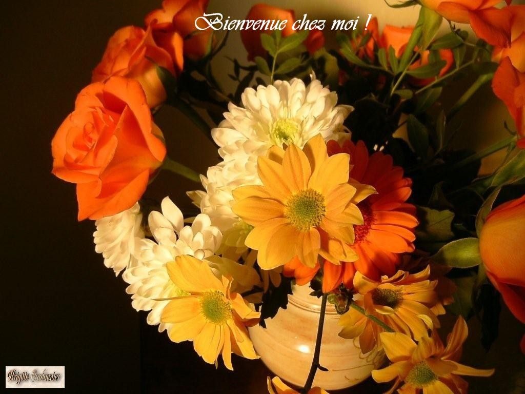 Bienvenue chez moi